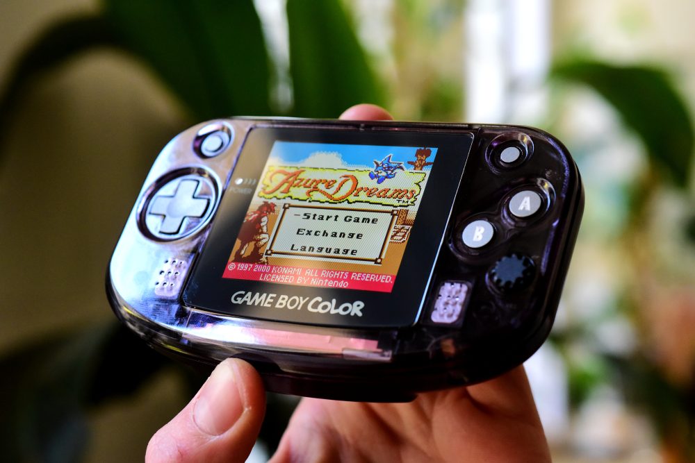 Frog Boy Color – MODDING MARIUS